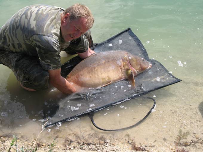 Carp care – treat them with respect! - Angling Lines Blog 🎣