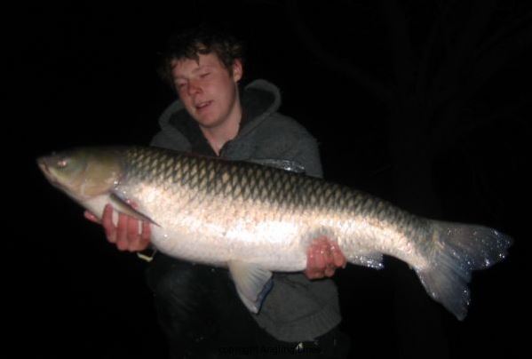 Record Grass Carp from Molyneux - Angling Lines Blog 🎣