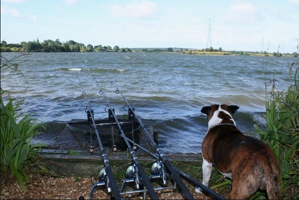 What distance carp rods would you recommend? - Angling Lines Blog 🎣