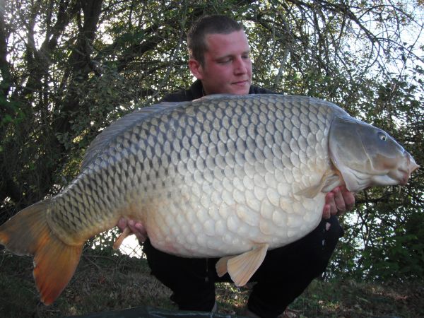 50lb common carp caught at Villefond - Angling Lines Blog 🎣