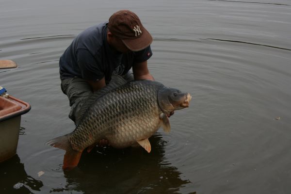 4 x 40lb+ carp from Villefond - Angling Lines Blog 🎣