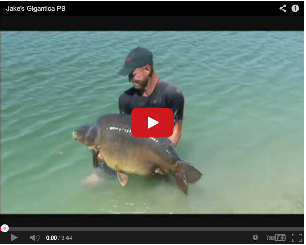 Video of Jake’s 64lb 8oz monster mirror carp from Gigantica - Angling ...