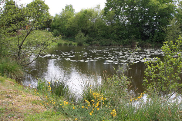 Carp fishing with slack lines – A Time and a Place - Angling Lines Blog 🎣