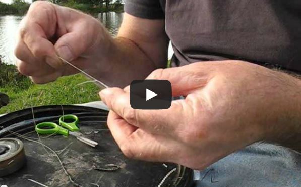 Carp Rigs – The Blowback Rig (without hair) - Angling Lines Blog 🎣