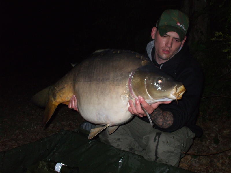 How We Should All Care For Our Beloved Carp - Angling Lines Blog 🎣