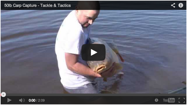 50lb Carp Capture – Tackle & Tactics - Angling Lines Blog 🎣