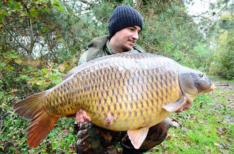 New 50lb Common Carp for Old Oaks - Angling Lines Blog 🎣