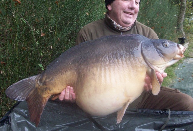 Mirror Carp is Packing on the Weight! - Angling Lines Blog 🎣