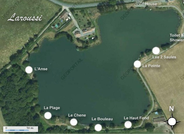 Laroussi Cancellation - Angling Lines Blog 🎣