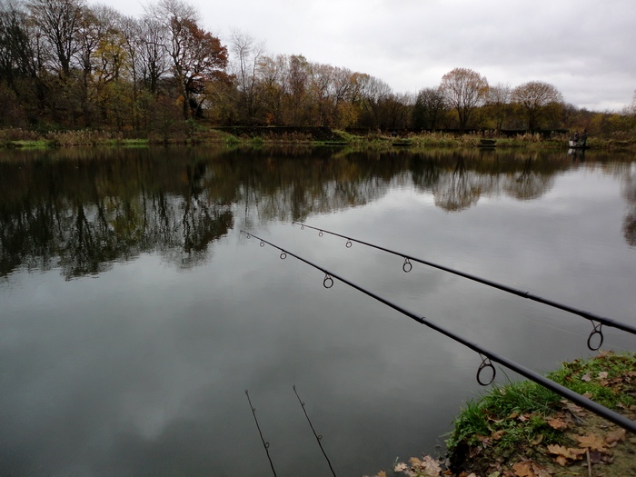 A Day’s Winter Carping - Angling Lines Blog 🎣