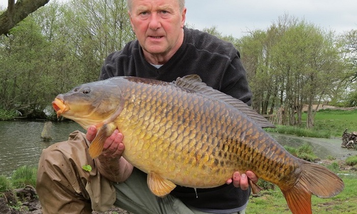 Ramblings of a Carp Angler – Leadcore - Angling Lines Blog 🎣