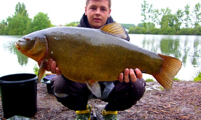 A New World Record Tench? 🎣