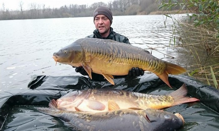 Stocking Carp at the Bachelier Waters - Angling Lines Blog 🎣
