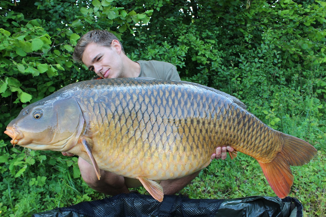 Owning a Carp Lake : An Interview with Bruno Simond 🎣