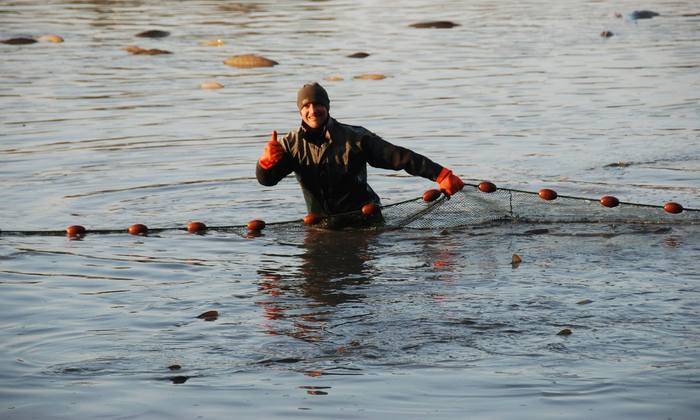 Brocard Large Video And Photos From Netting - Angling Lines Blog 🎣