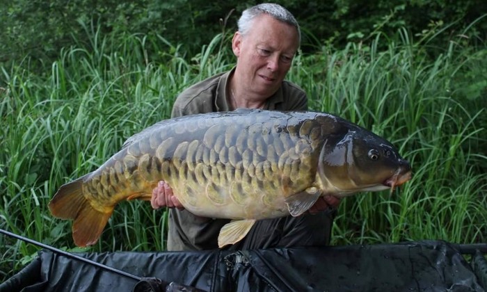 Our Top 15 French Carp Fishing Photos of 2016 - Angling Lines Blog 🎣