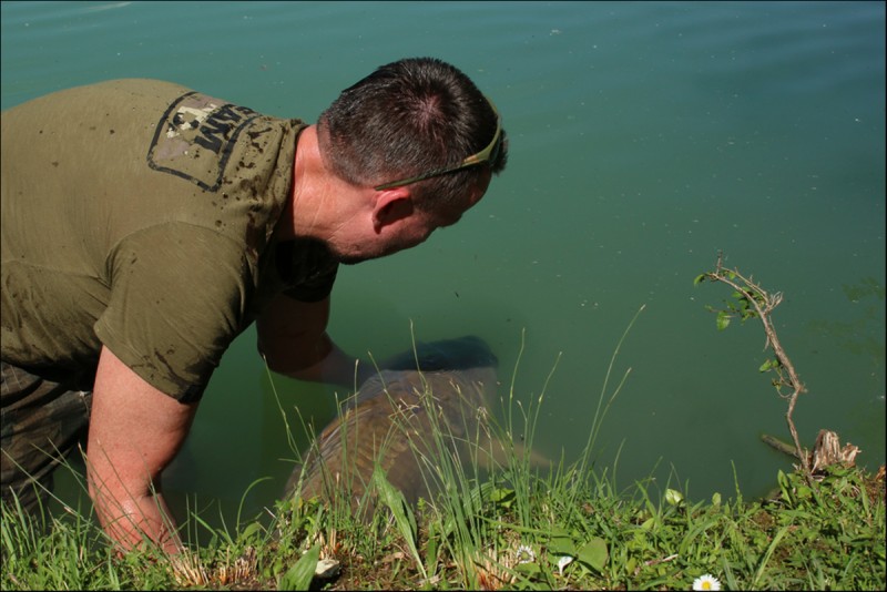 Modern carp care – Look after them on the bank! - Angling Lines Blog 🎣