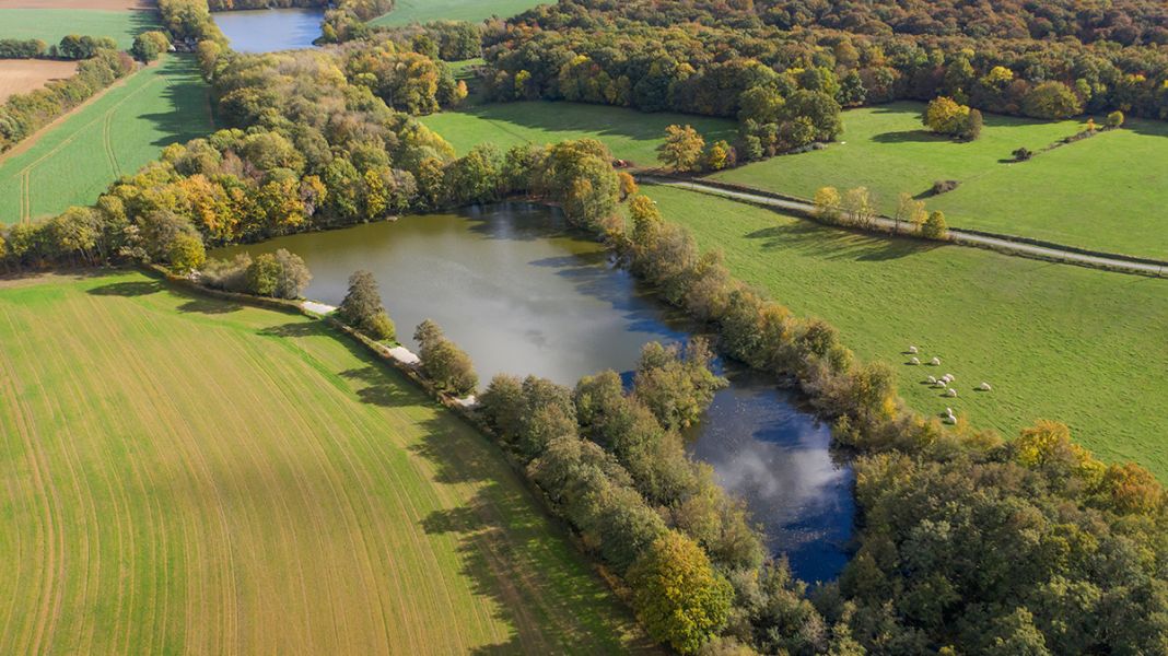 11 Quality Carp Fishing Lakes For Groups Of 4 Anglers