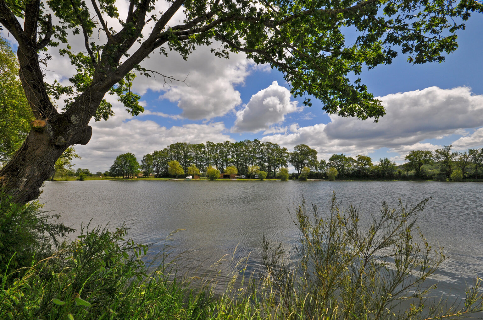 Interview with an Owner – Thomas at Carrouge Carp Lake