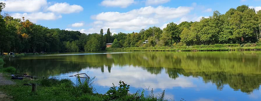 Carp fishing in France at Cailleaux | Angling Lines