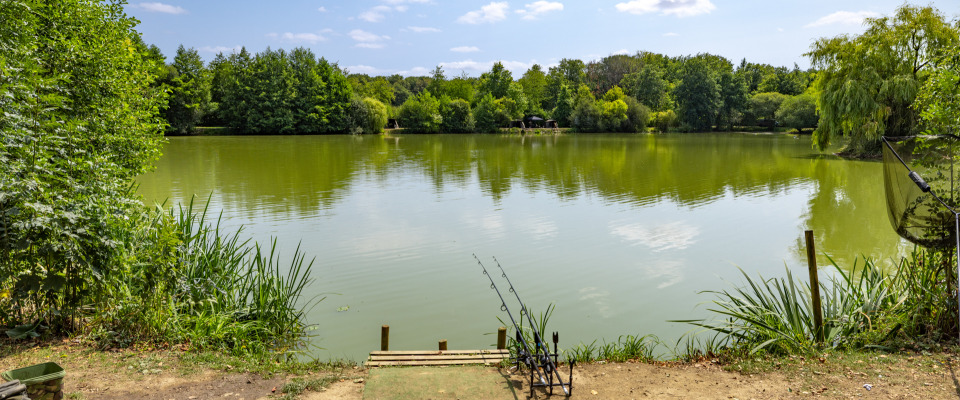 brie angling lines